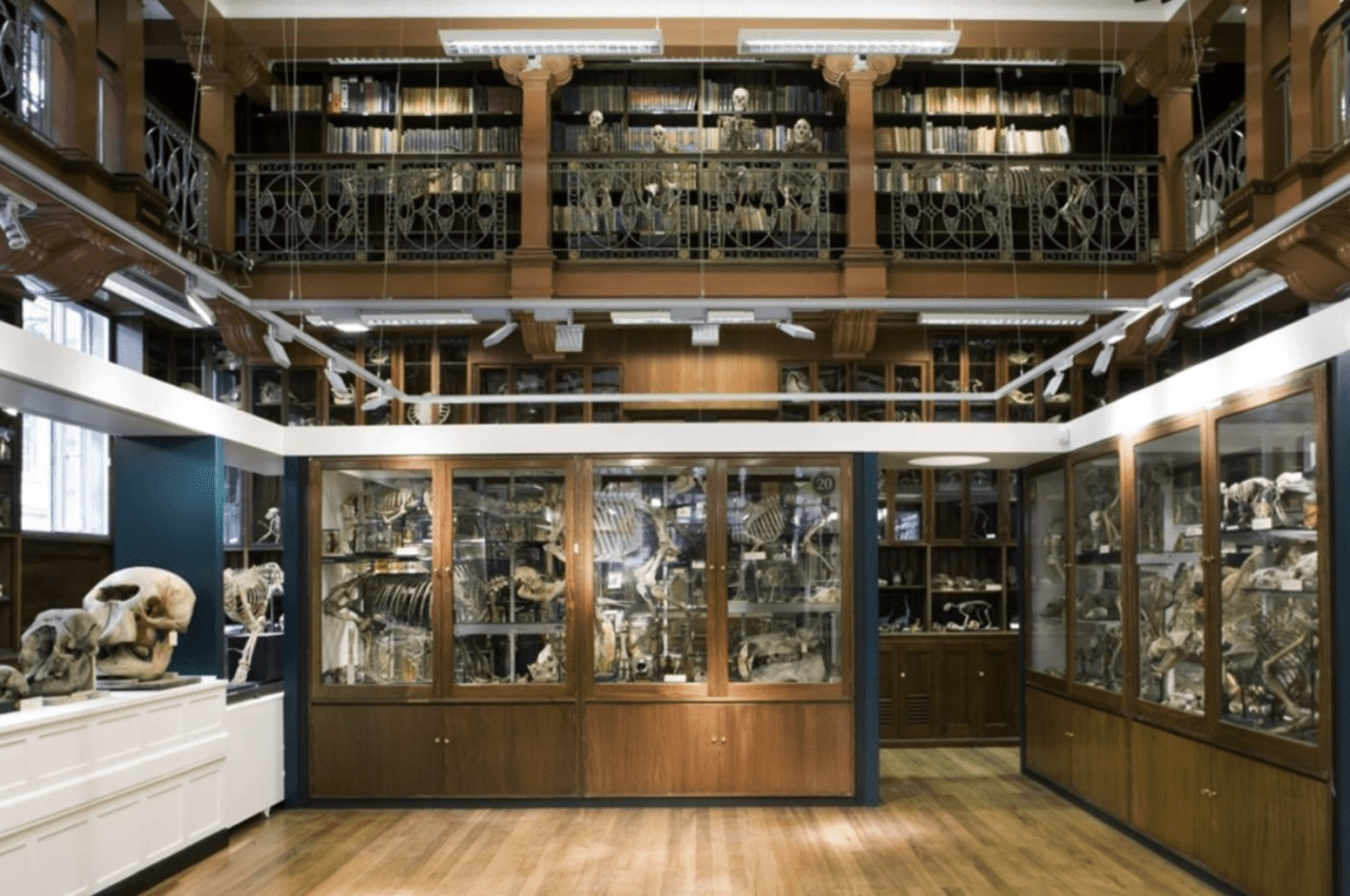 Grant Museum of Zoology - London Planner