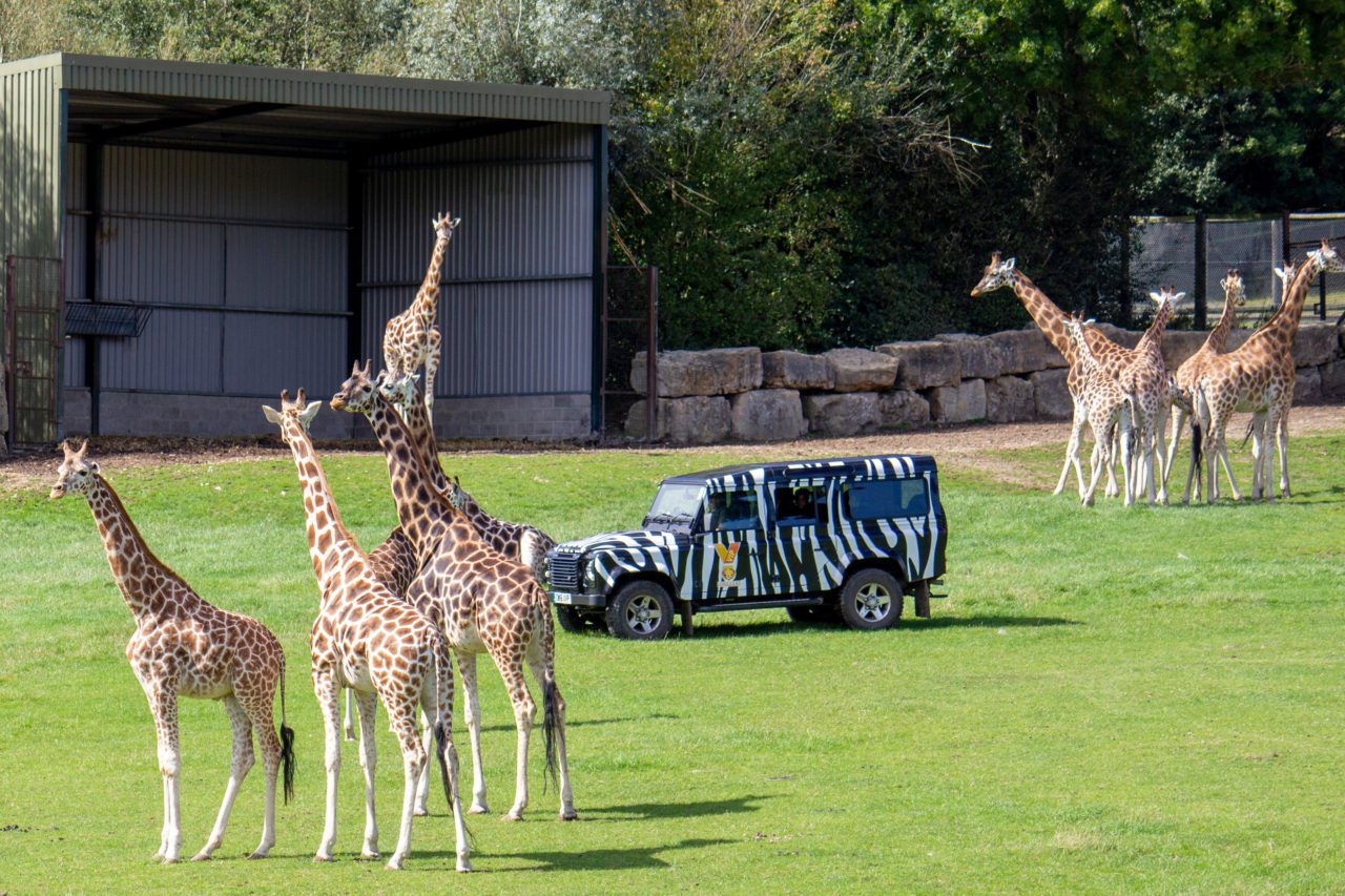 The wild side: where to see animals in London - London Planner