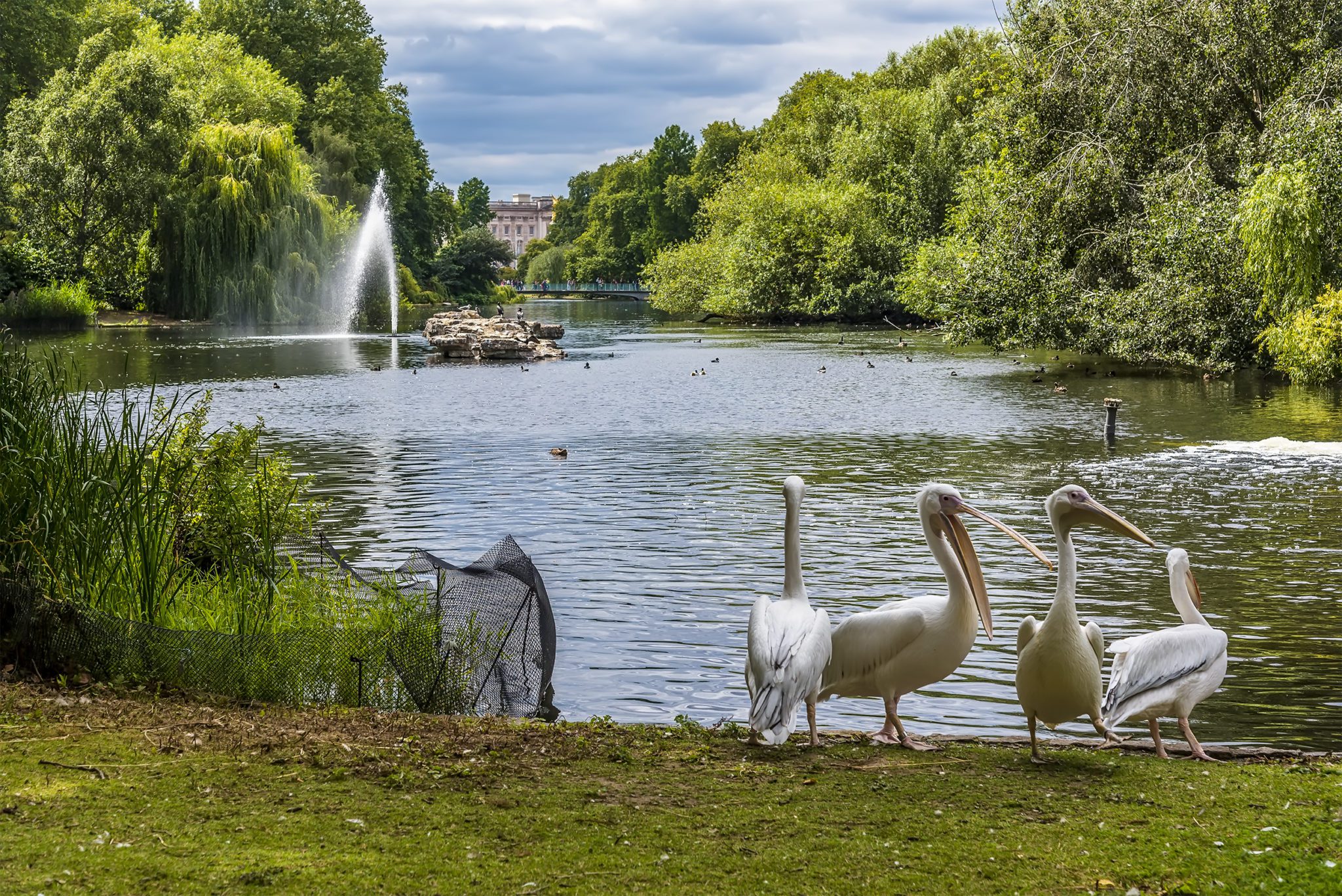 The wild side: where to see animals in London - London Planner