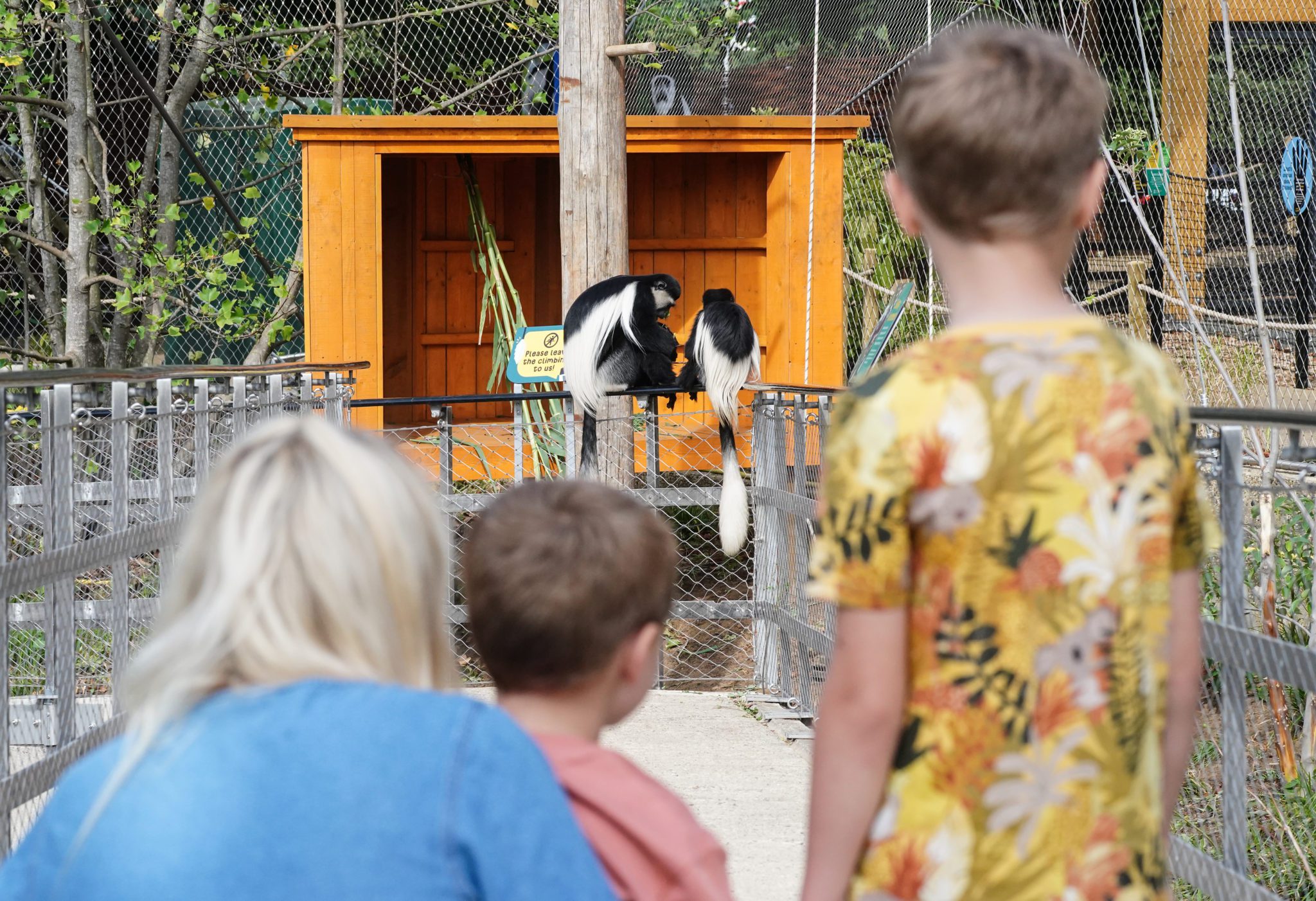 February Half-Term Fun! - London Planner