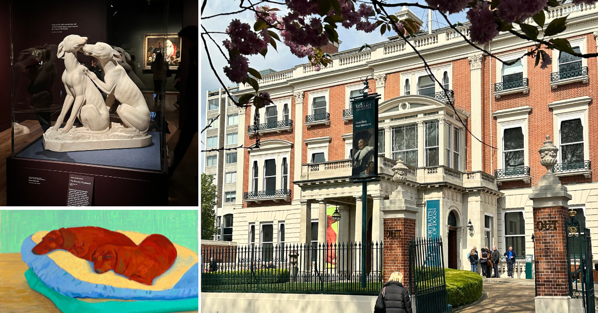 There’s an exhibition all about dogs on in London - London Planner