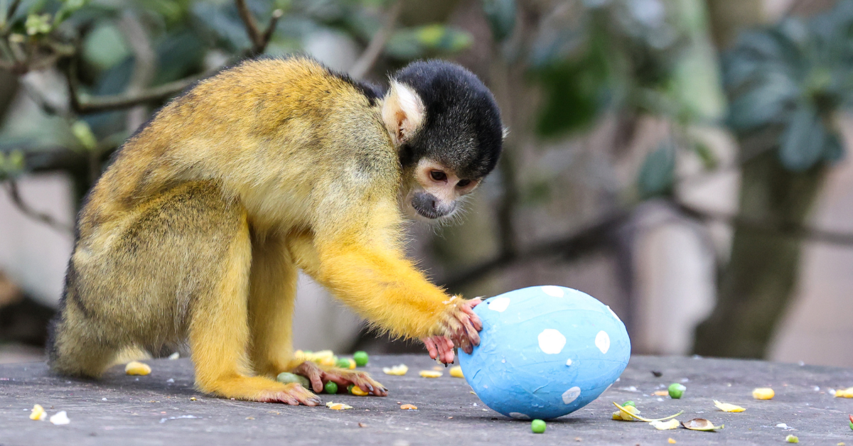 Your guide to Easter weekend in London - London Planner