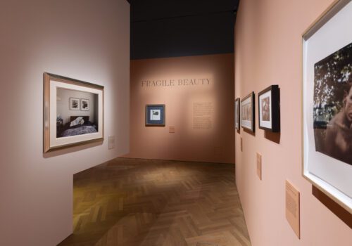 Top 5 exhibitions in London right now - London Planner
